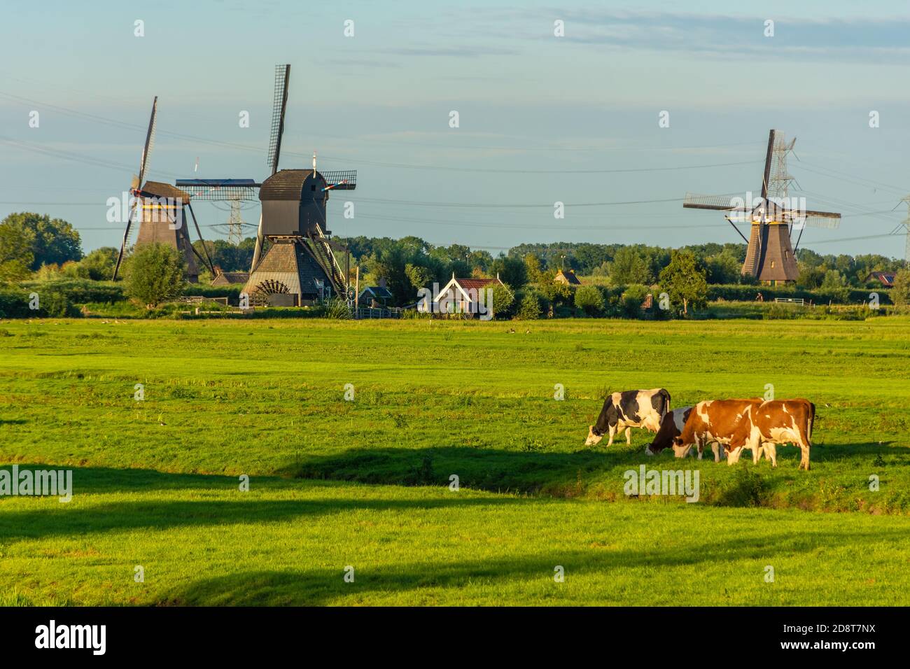 The famous windmills of Kinderdijk in the Netherlands Stock Photo - Alamy