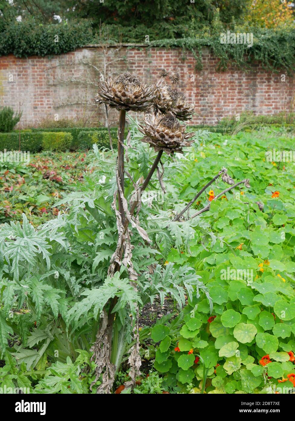 Downe House, Downe, Kent, England. Charles Darwin's House Stock Photo ...