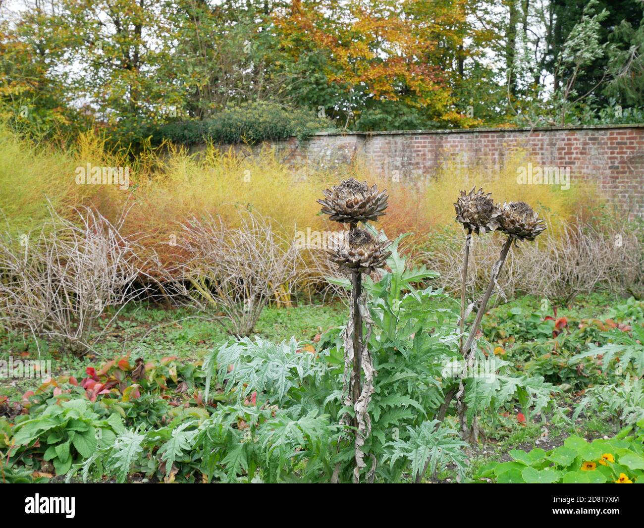 Downe House, Downe, Kent, England. Charles Darwin's House Stock Photo ...