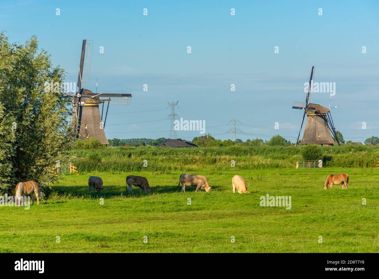 The famous windmills of Kinderdijk in the Netherlands Stock Photo - Alamy