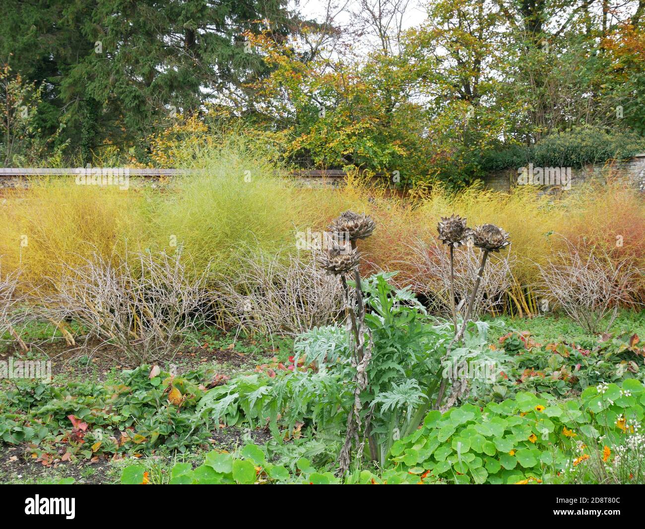 Downe House, Downe, Kent, England. Charles Darwin's House Stock Photo ...