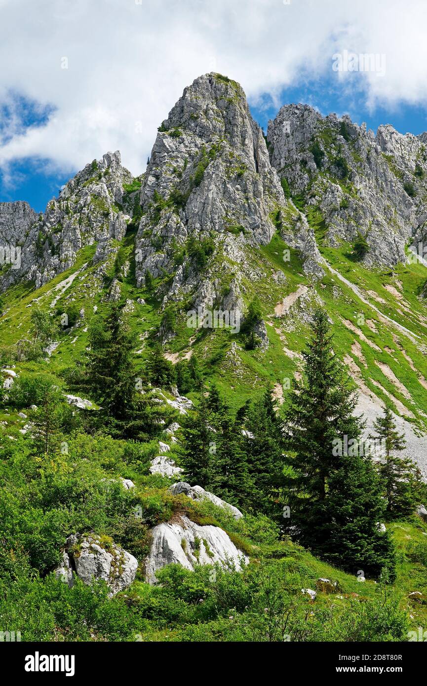 Schilpario (Bg), Valle di Scalve, Italy, the Mount Cimone della Bagozza ...