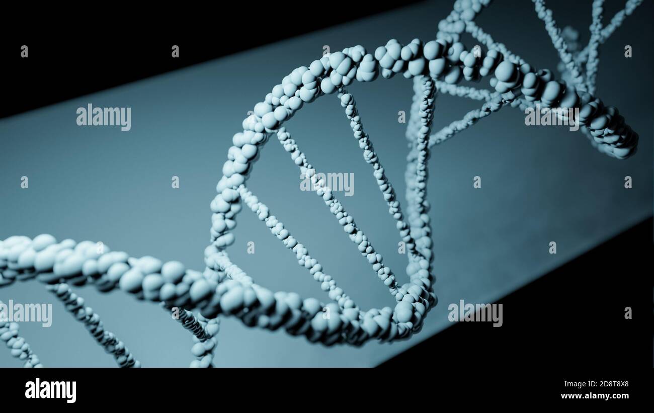 Polynucleotide chain hi-res stock photography and images - Alamy