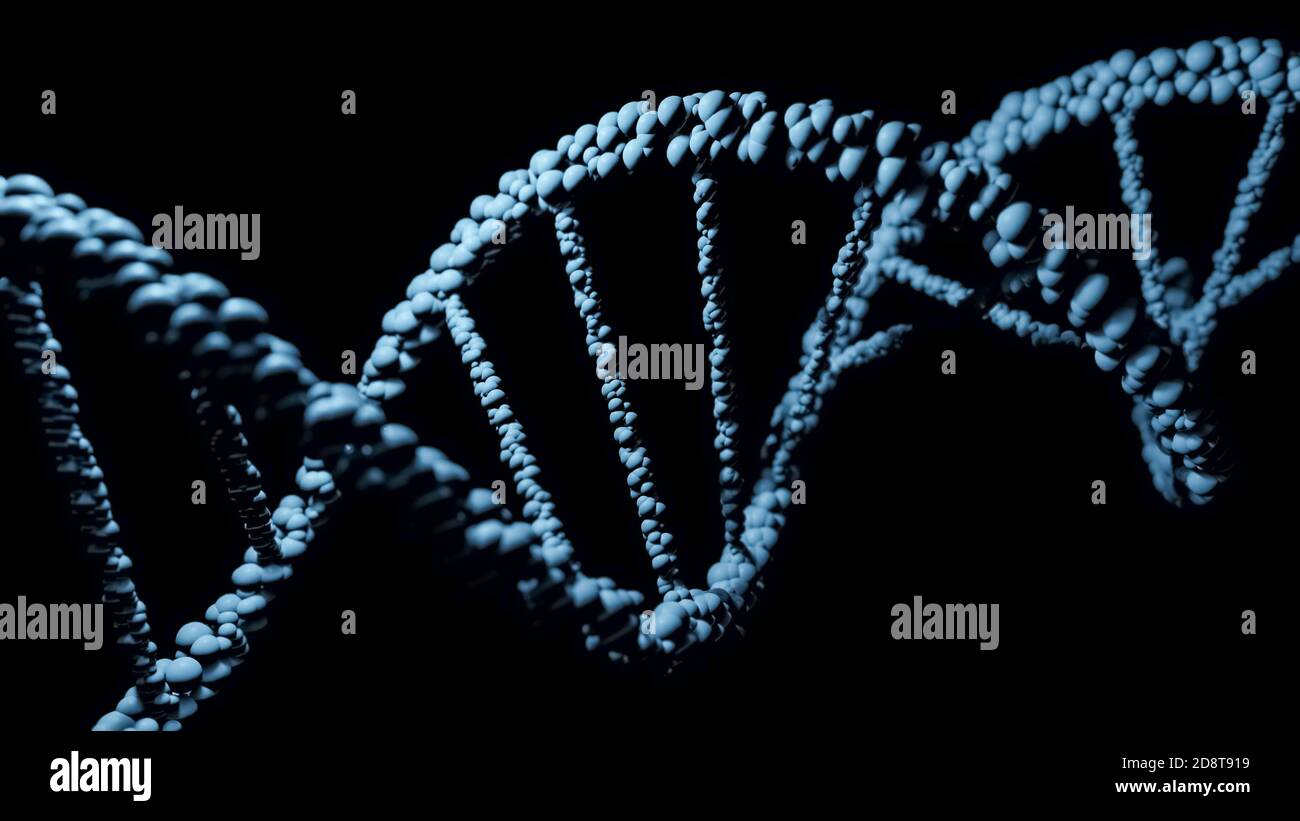 Polynucleotide chain hi-res stock photography and images - Alamy