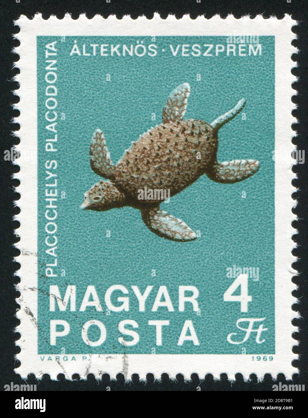 Placochelys placodonta hi-res stock photography and images - Alamy