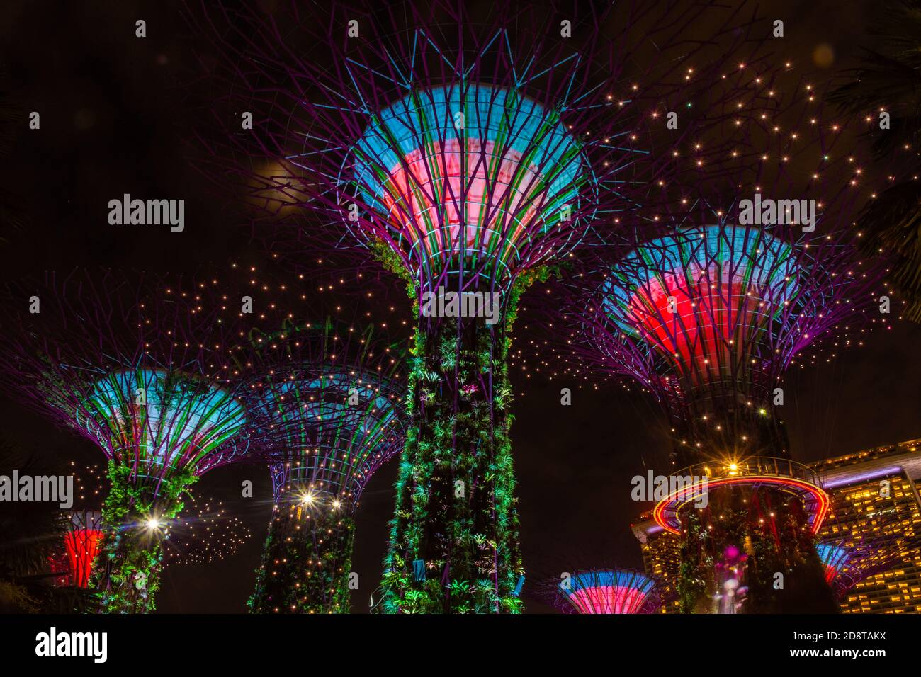 SINGAPORE, 3 OCTOBER 2019: The Supertrees of Gardens by the bay by ...