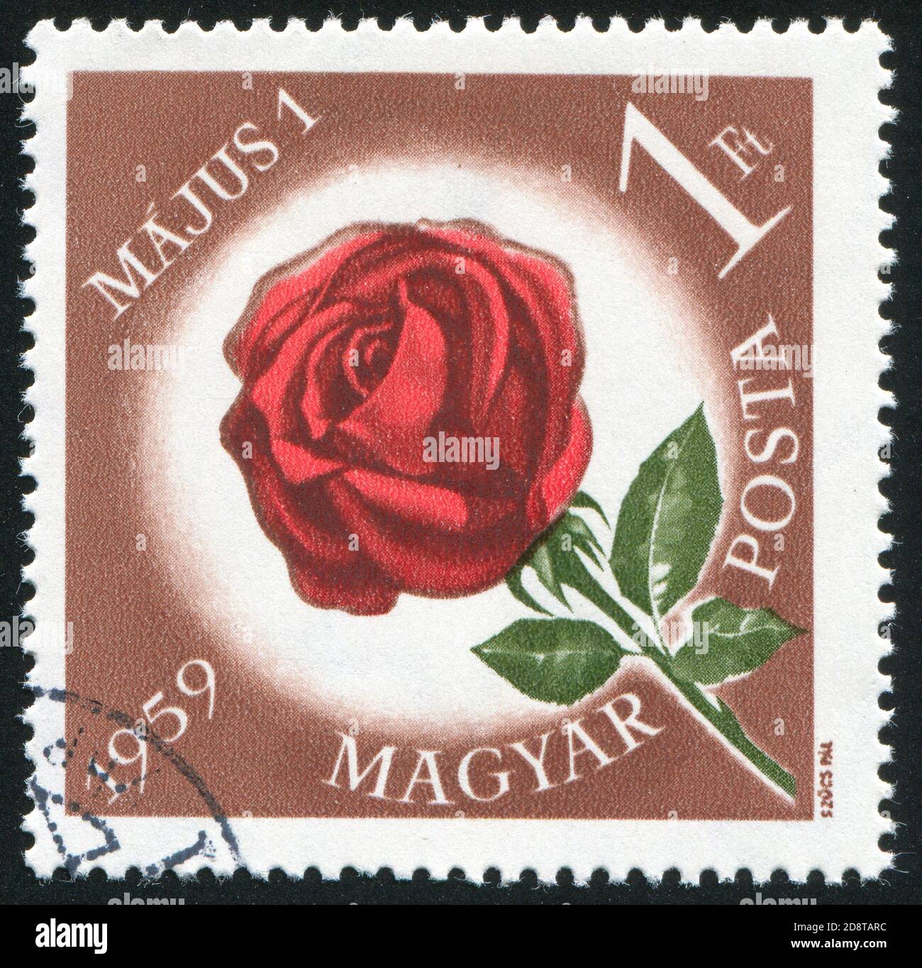 HUNGARY - CIRCA 1959: stamp printed by Hungary, shows flower rose ...