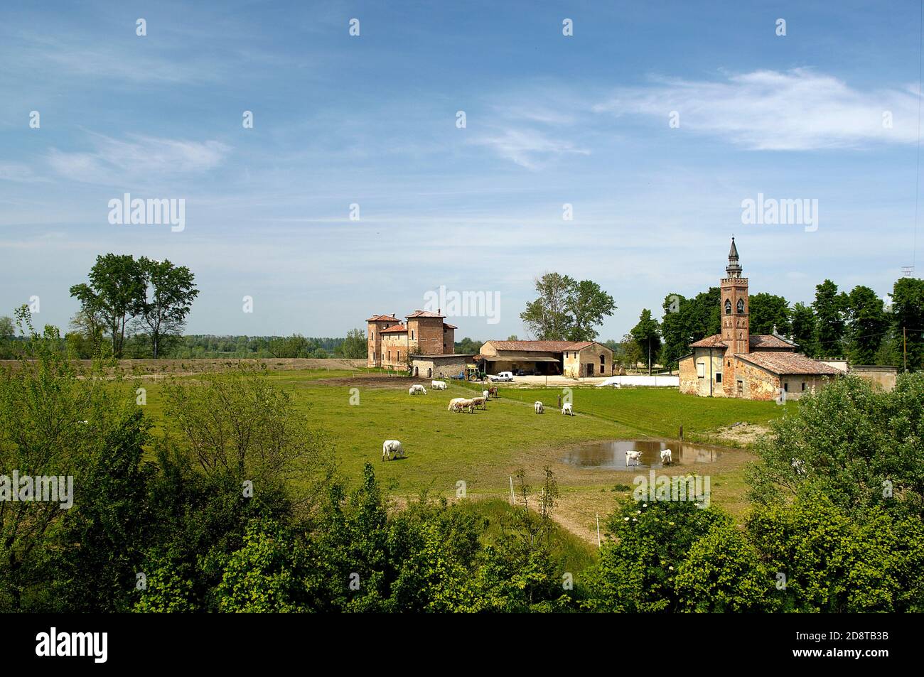 Our lady of lordes hi-res stock photography and images - Alamy