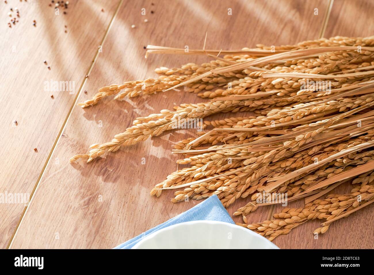 Close-up of rice ears and wheat ears under the sunlight by the window ...