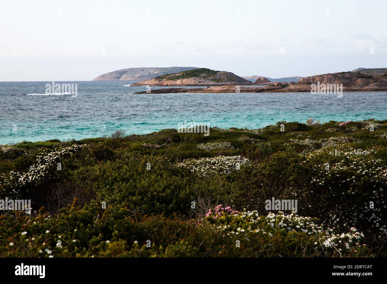 Beautiful view over wildflowers out over the Indian Ocean at Rossiter ...
