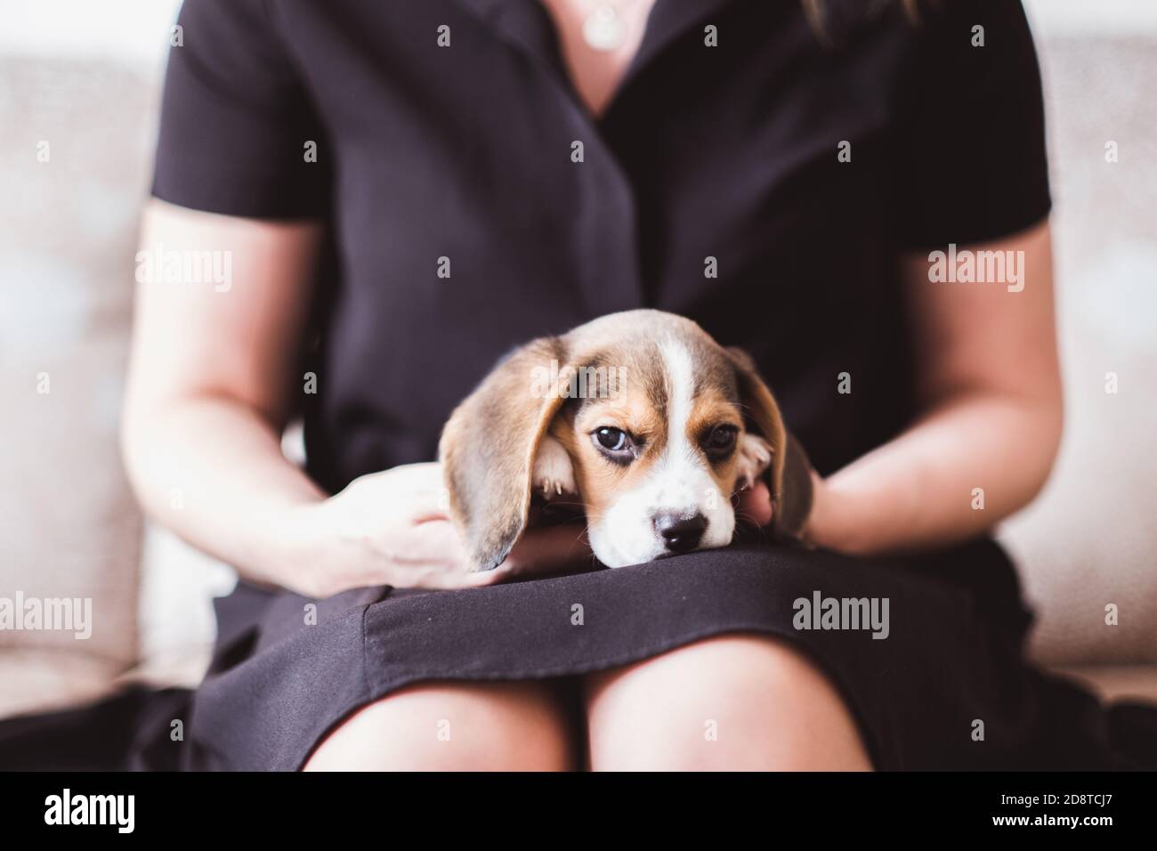 Close up baby sitting on lap hi-res stock photography and images - Alamy