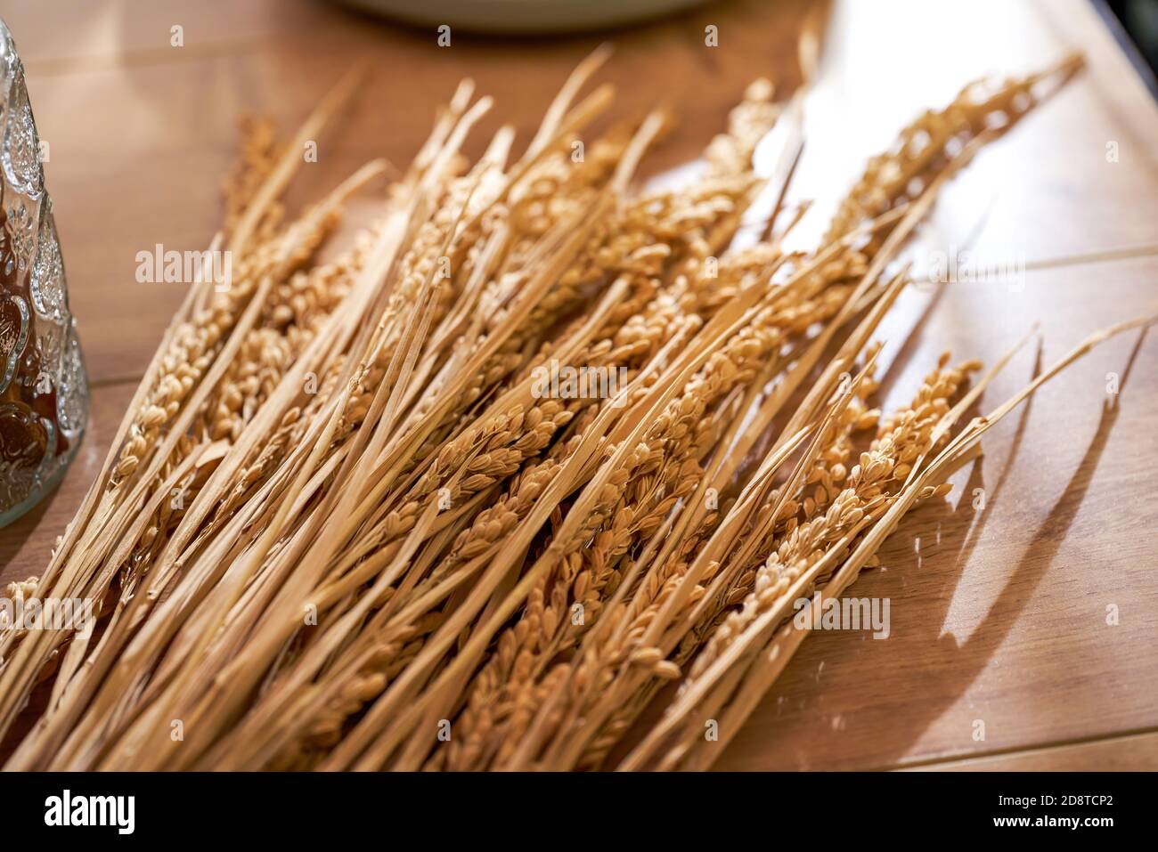 Close-up of rice ears and wheat ears under the sunlight by the window ...