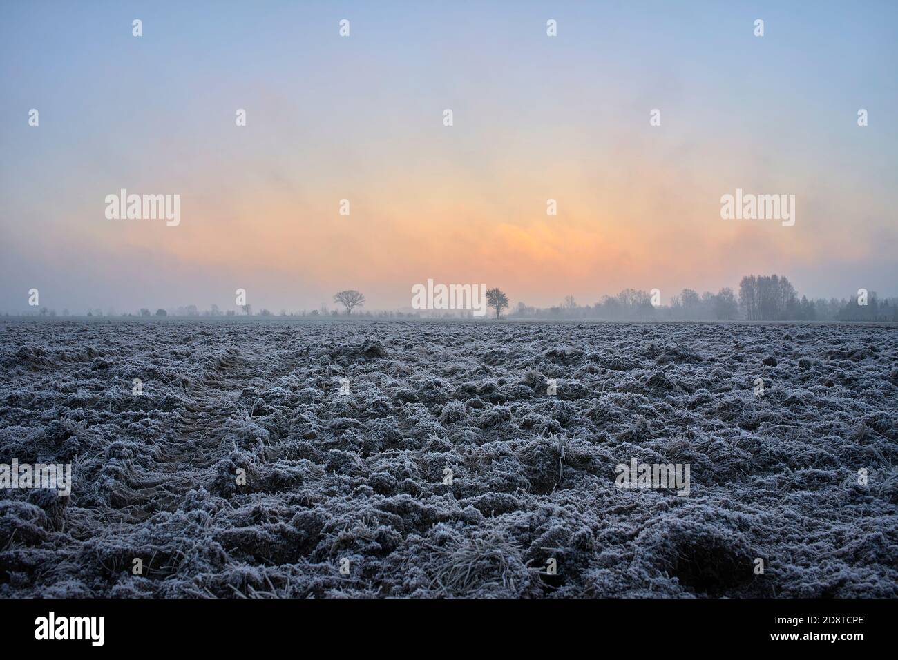 Frozen farm field hi-res stock photography and images - Alamy