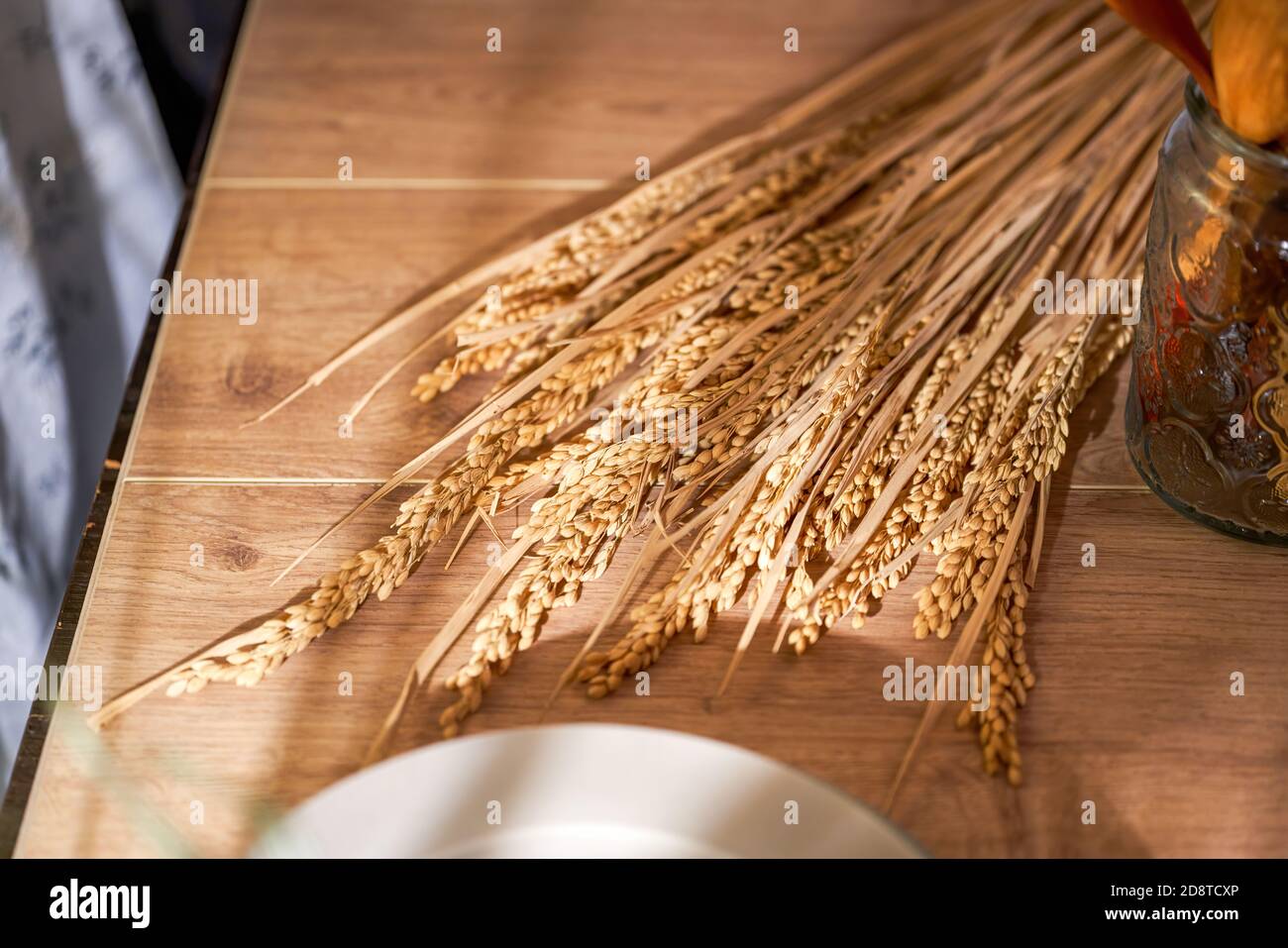 Close-up of rice ears and wheat ears under the sunlight by the window ...