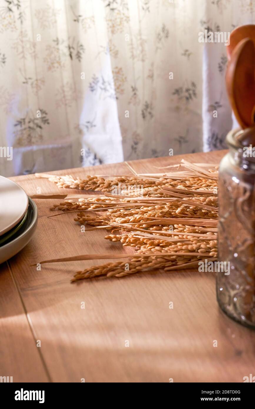 Close-up of rice ears and wheat ears under the sunlight by the window ...