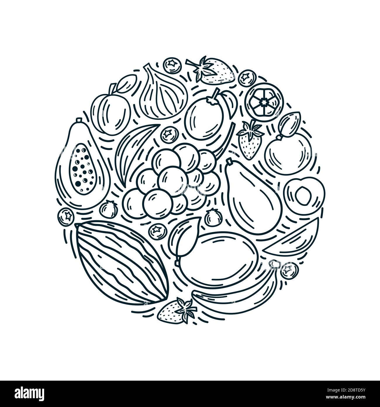 Vector fruits in round composition. Bright illustration of healthy ...