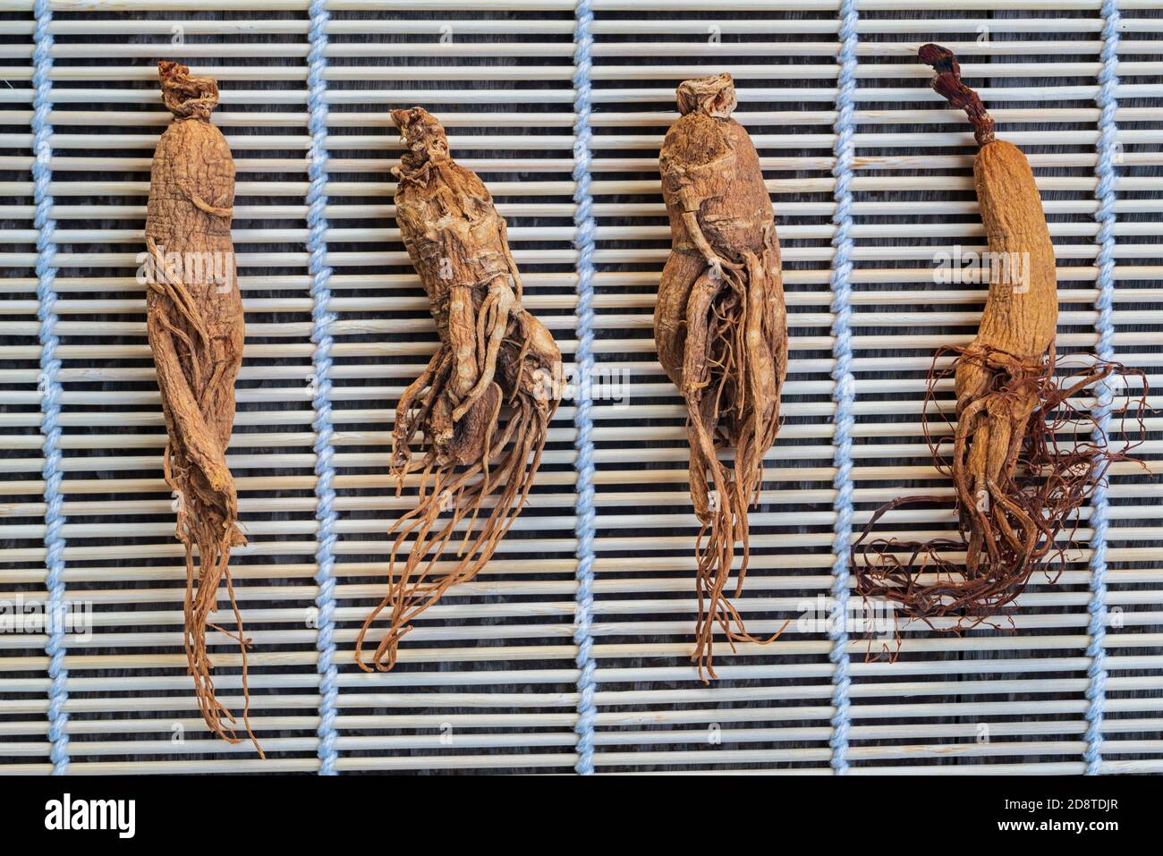 Ginseng roots hi-res stock photography and images - Alamy