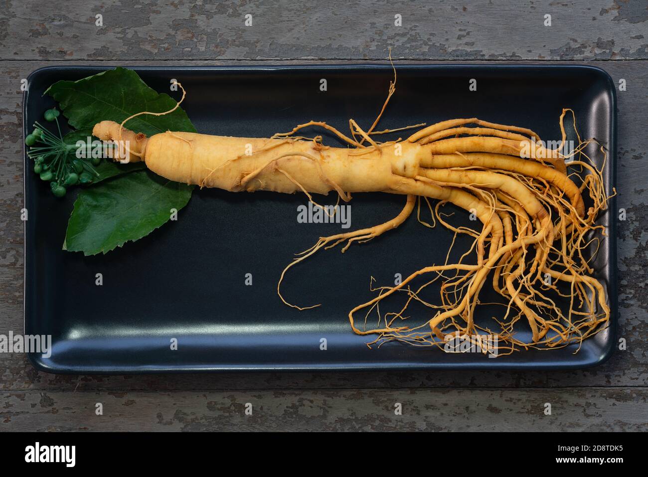 Fresh ginseng root on black plate with green leaves and berries Stock ...