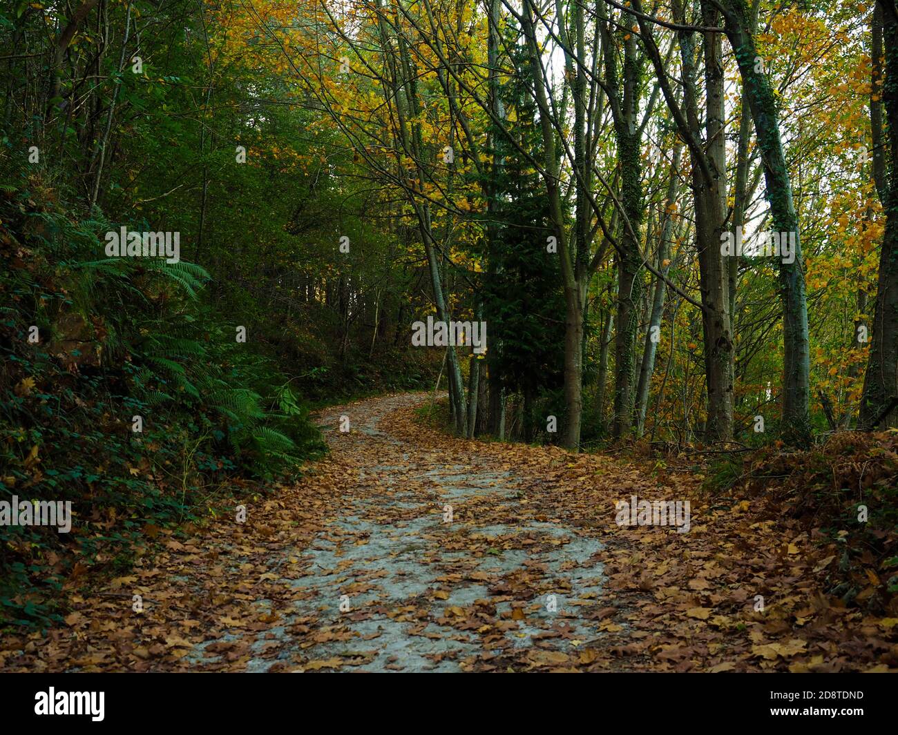 Berlin mountain trail hi-res stock photography and images - Alamy