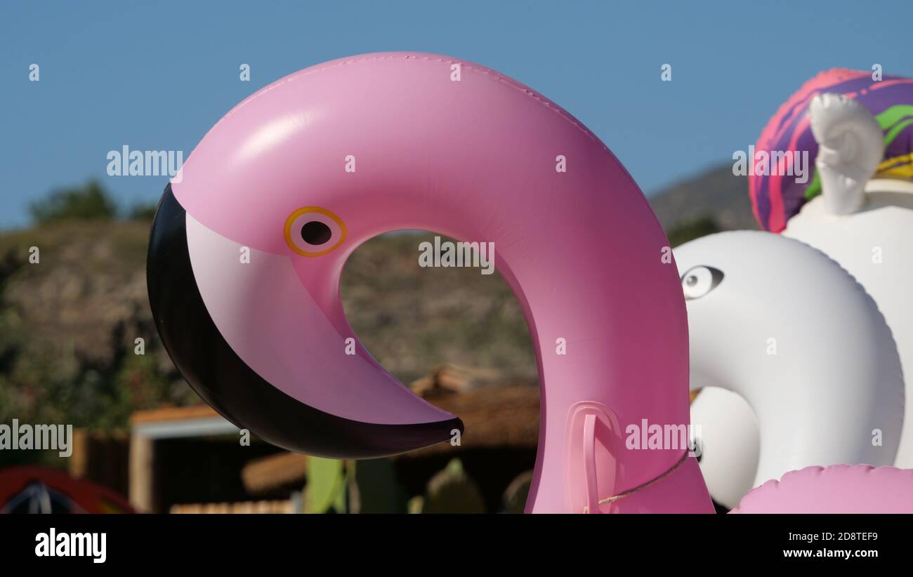 Closeup of a large inflatable pool pink flamingo in a pool during the ...