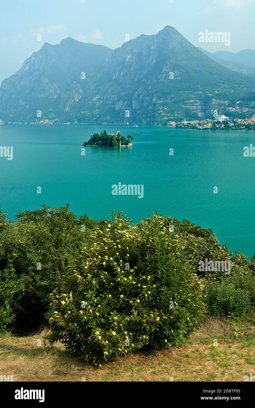 Montisola (Bs), Italy, a view of the Lake of Iseo Stock Photo - Alamy