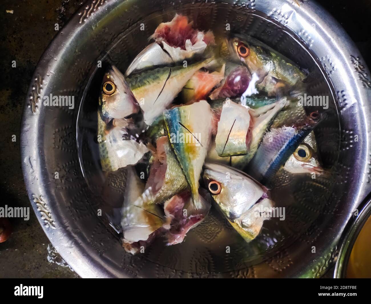 Fresh Raw chopped fish in steel bowl on close-up . Chopped raw fish in ...