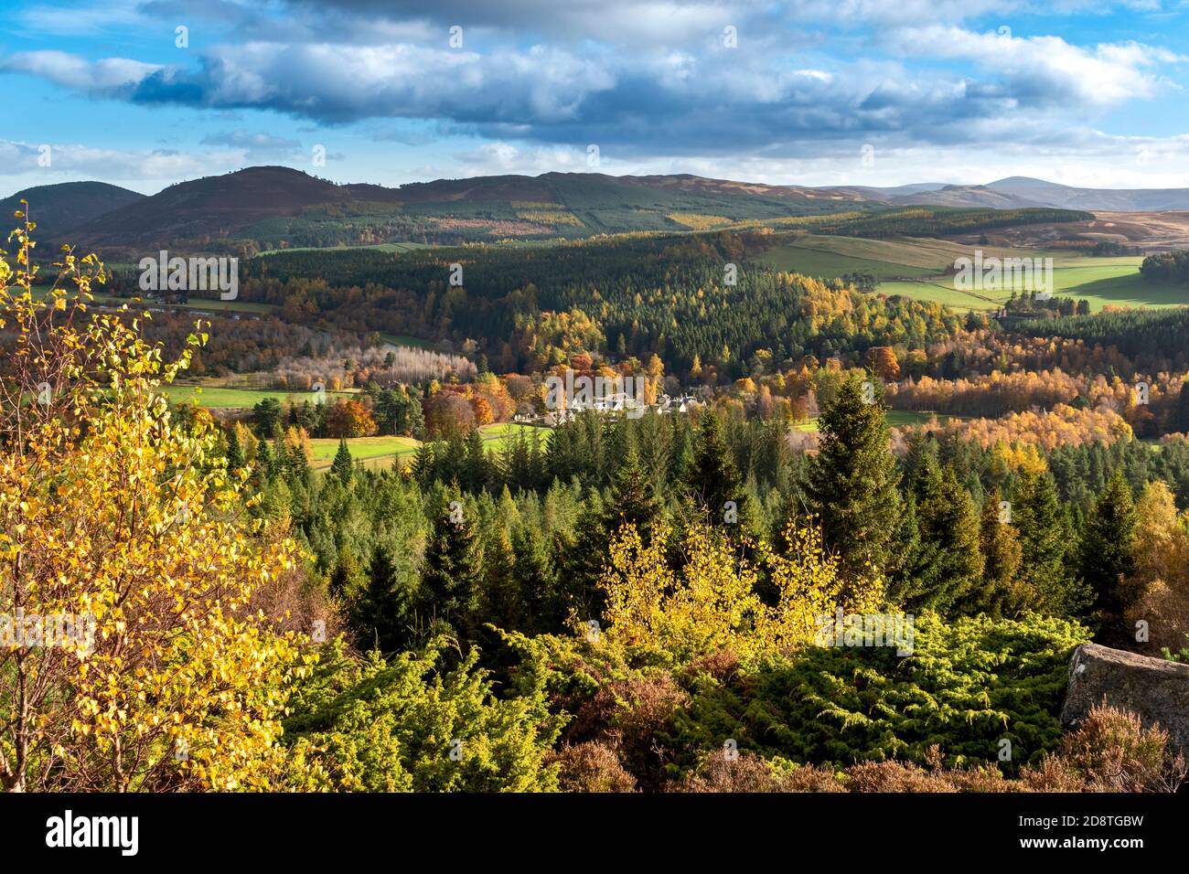 BALMORAL ESTATE RIVER DEE VALLEY ABERDEENSHIRE SCOTLAND YELLOW ASPEN ...