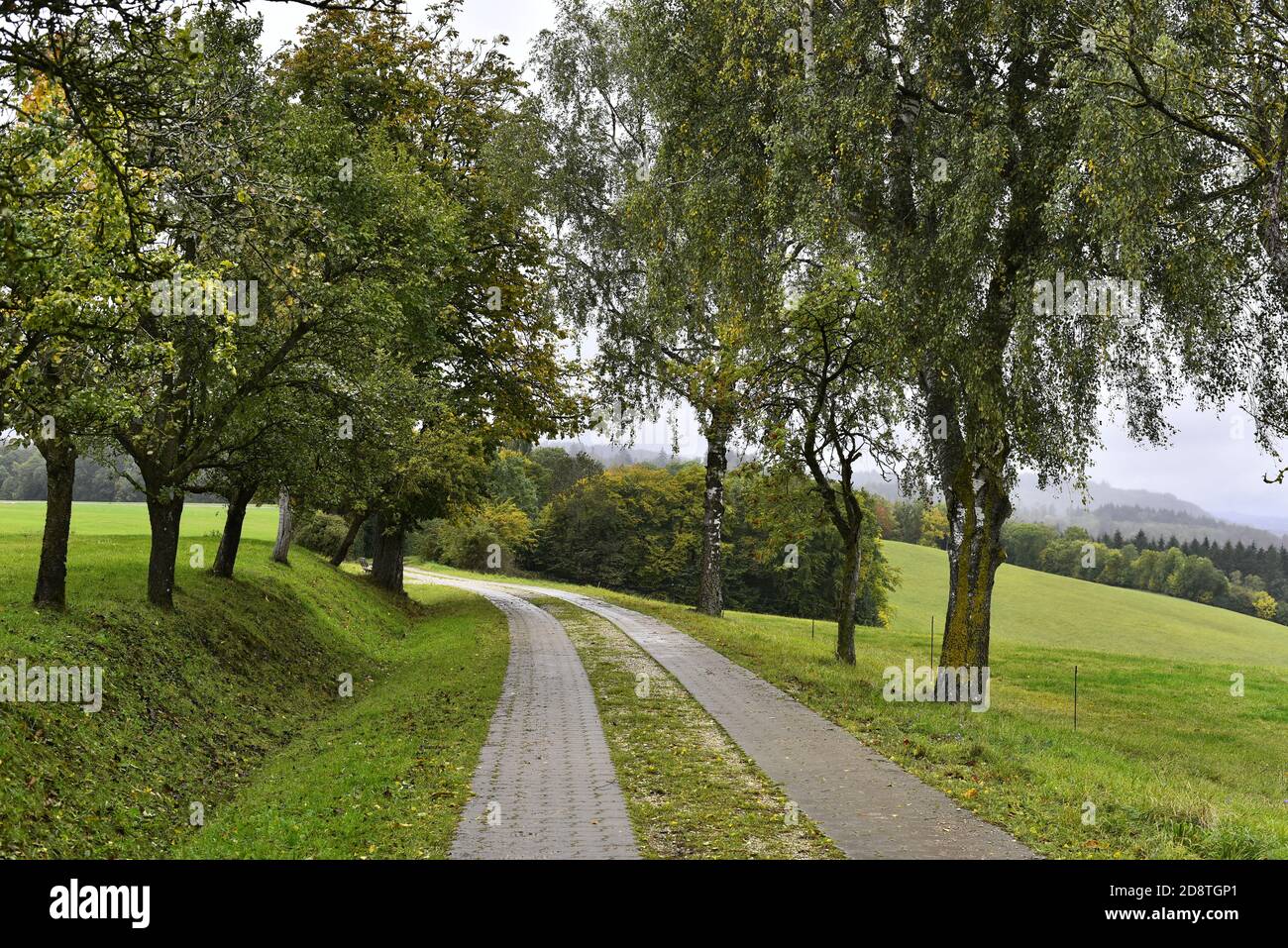 Beautiful shot of a country road Stock Photo - Alamy