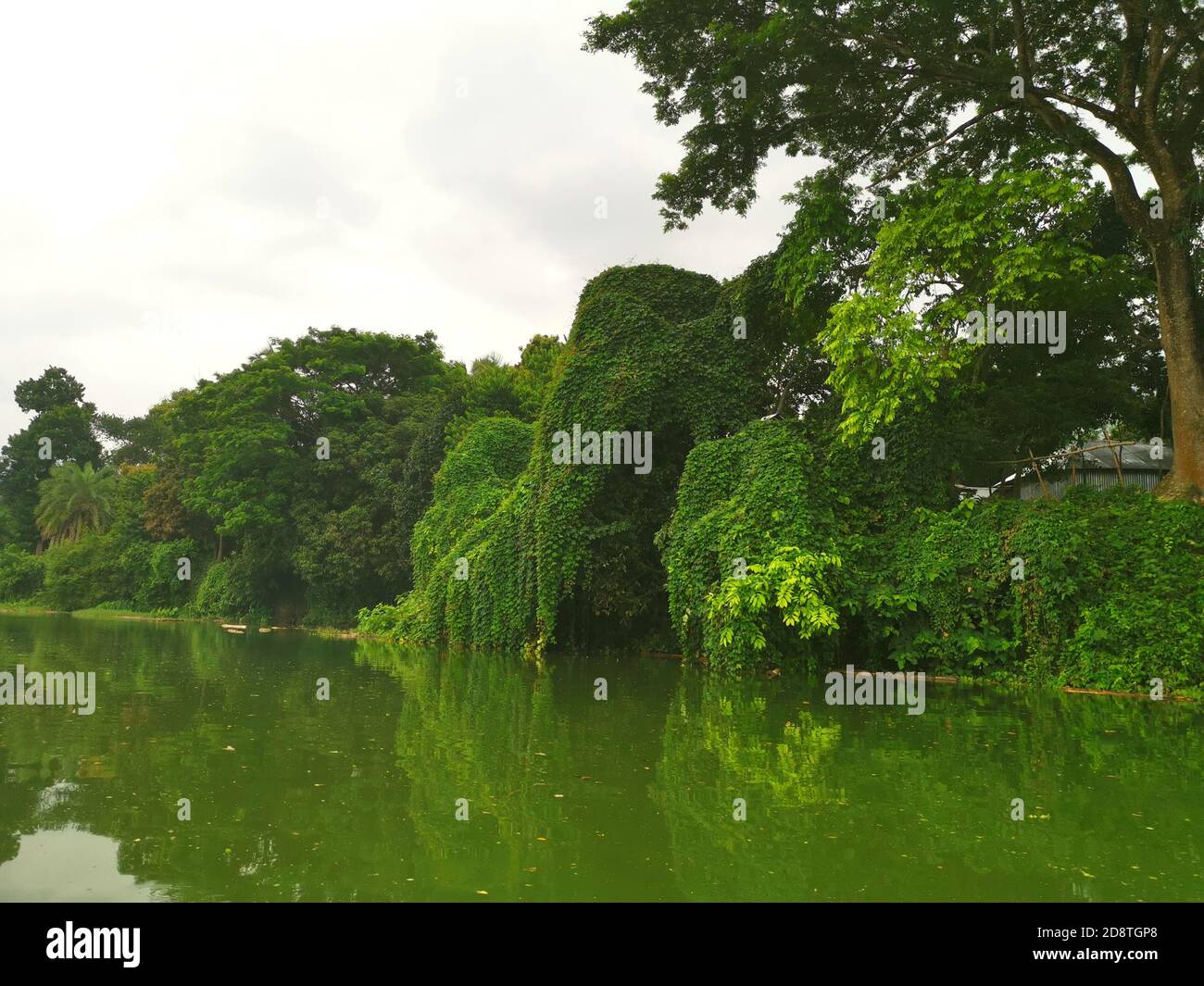 Beauty Of Canel High Resolution Stock Photography and Images - Alamy
