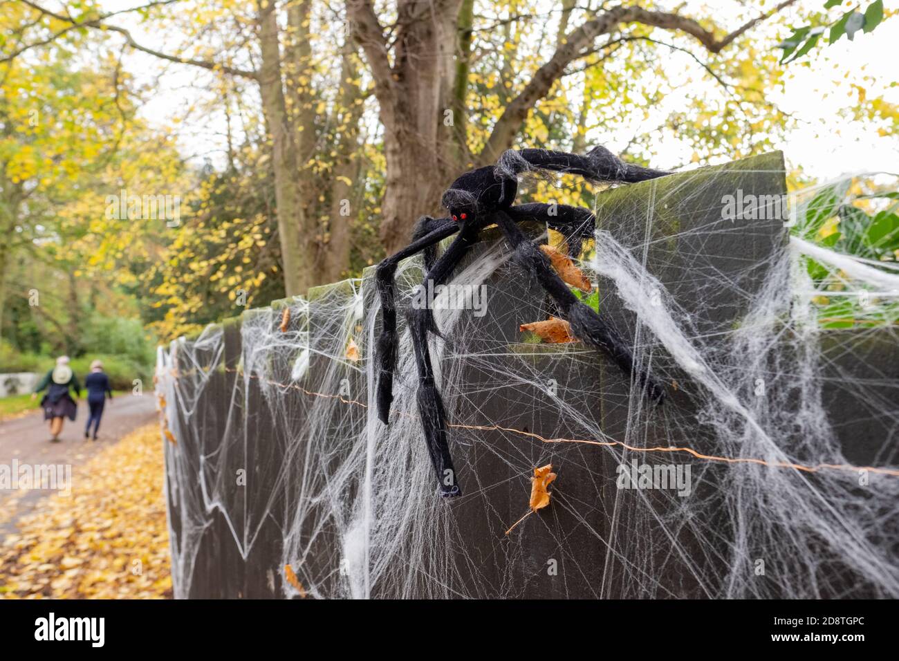 October garden spiderweb hi-res stock photography and images - Alamy