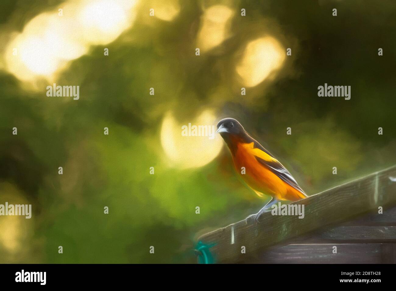 Garden scenes - bird Stock Photo - Alamy