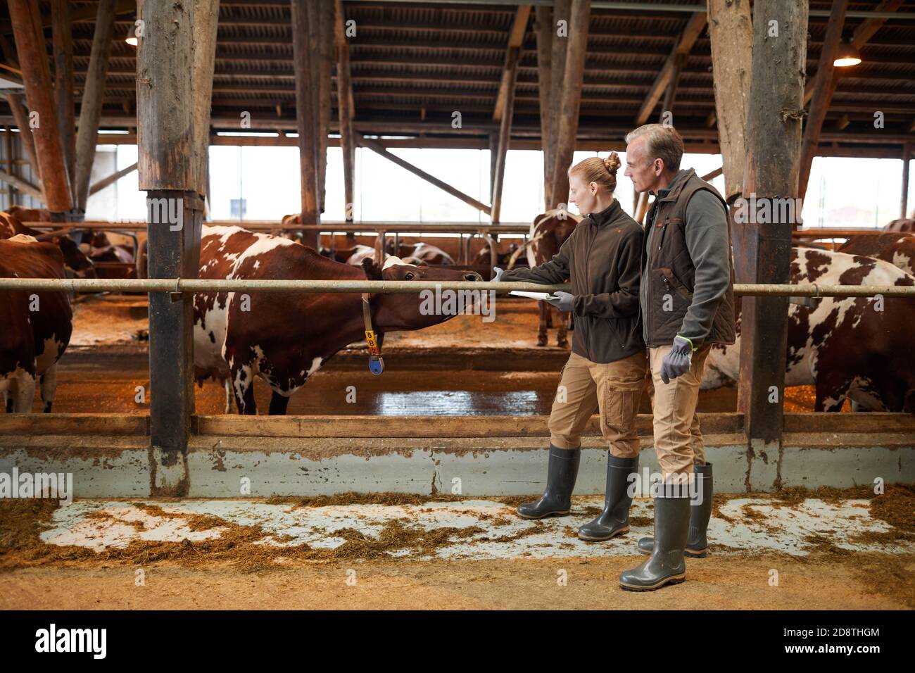 Two farm workers hi-res stock photography and images - Alamy