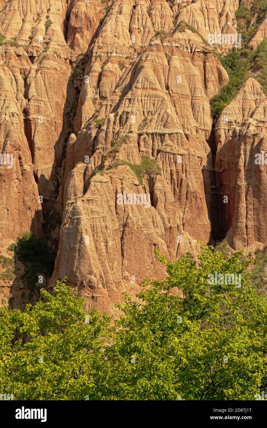 Close-up detail of the pink rocks Rapa Rosie , the grand canyon of ...