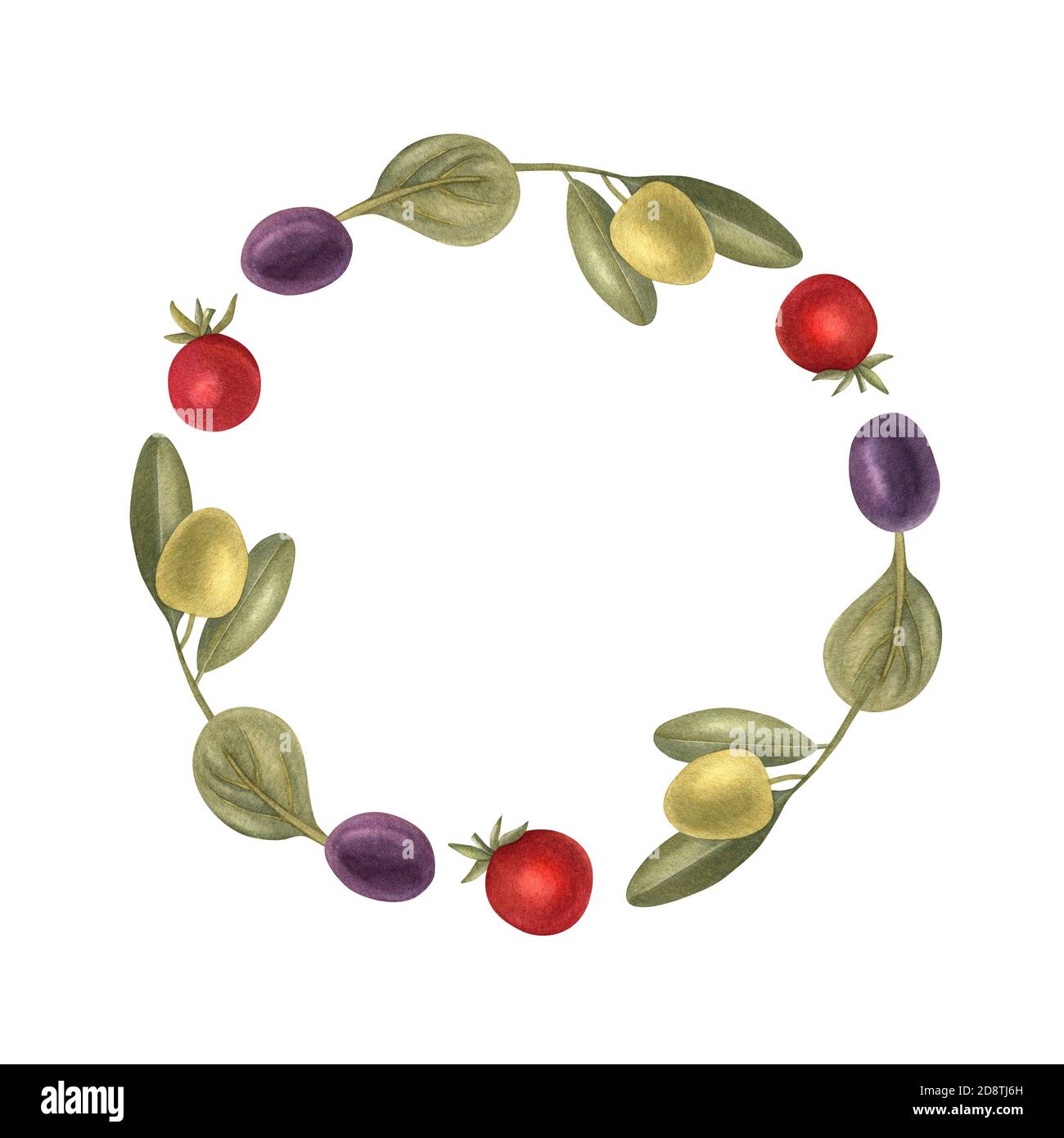 Watercolor round frame with herbs, olives, and, tomato. Hand-drawn ...