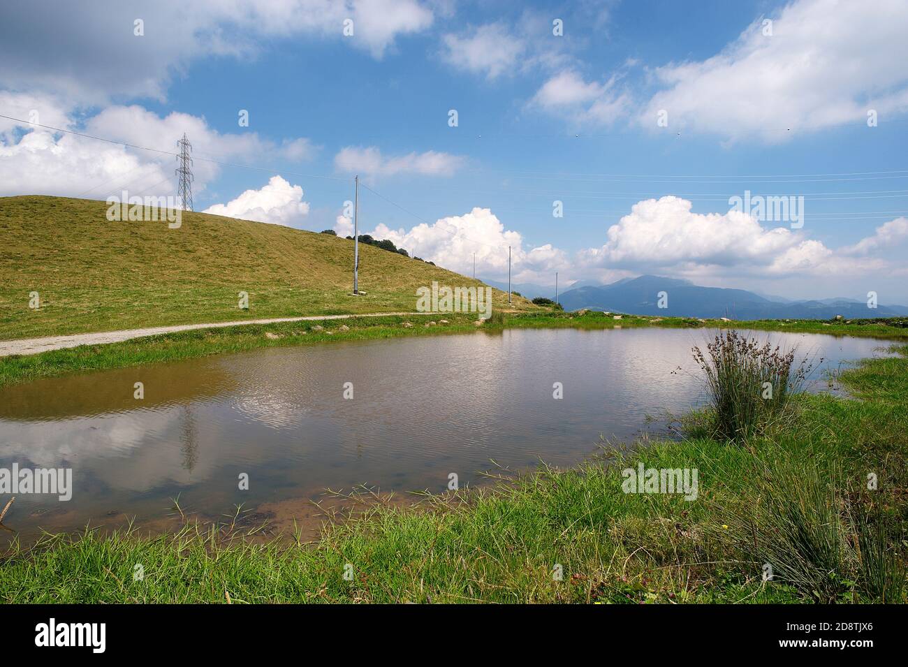 Pontogna (Bs), Trompia Valley, Italy,a natural pond in a pasture in the ...