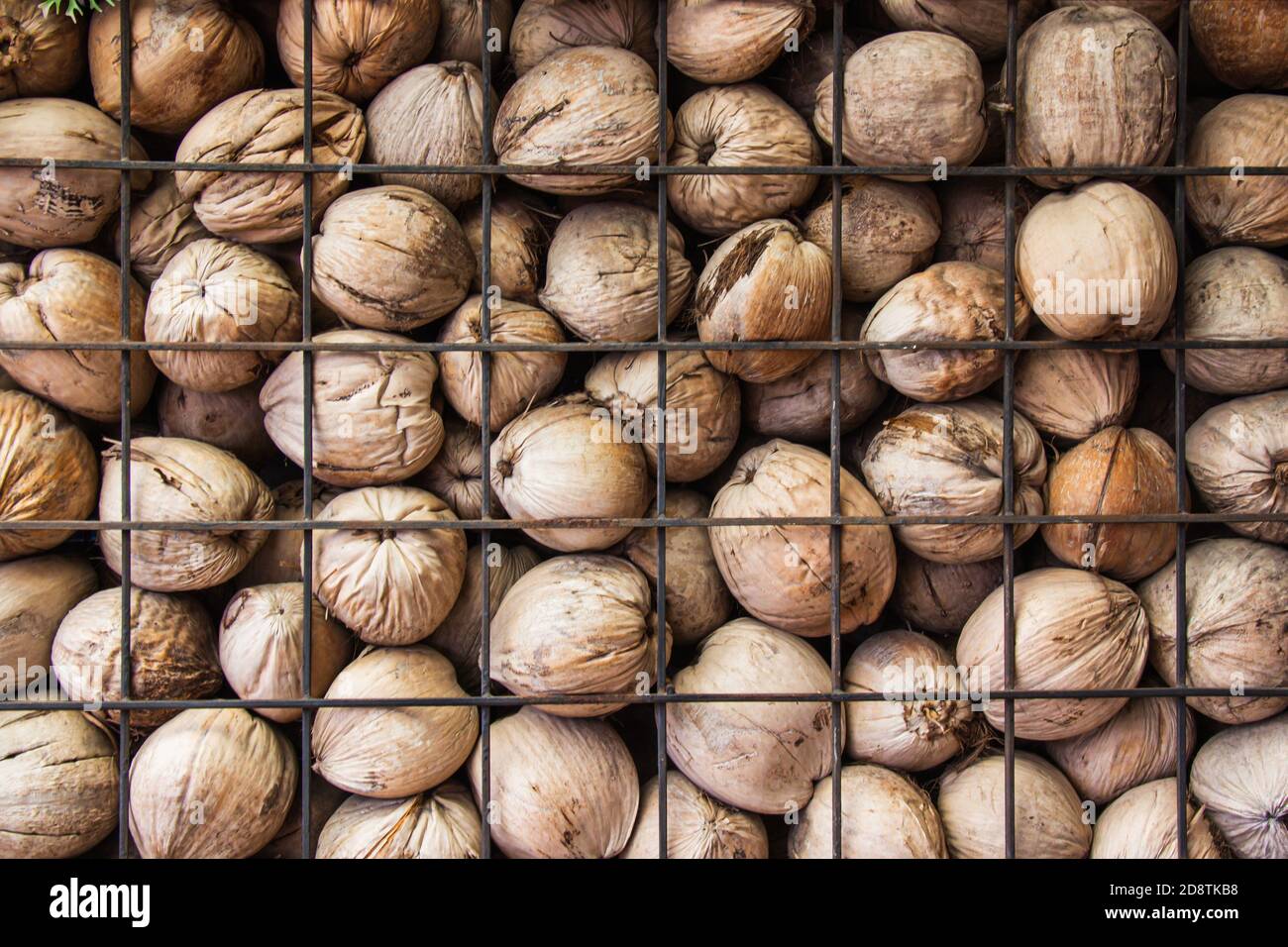 The walls are made pile of dried brown coconut stack with partition ...