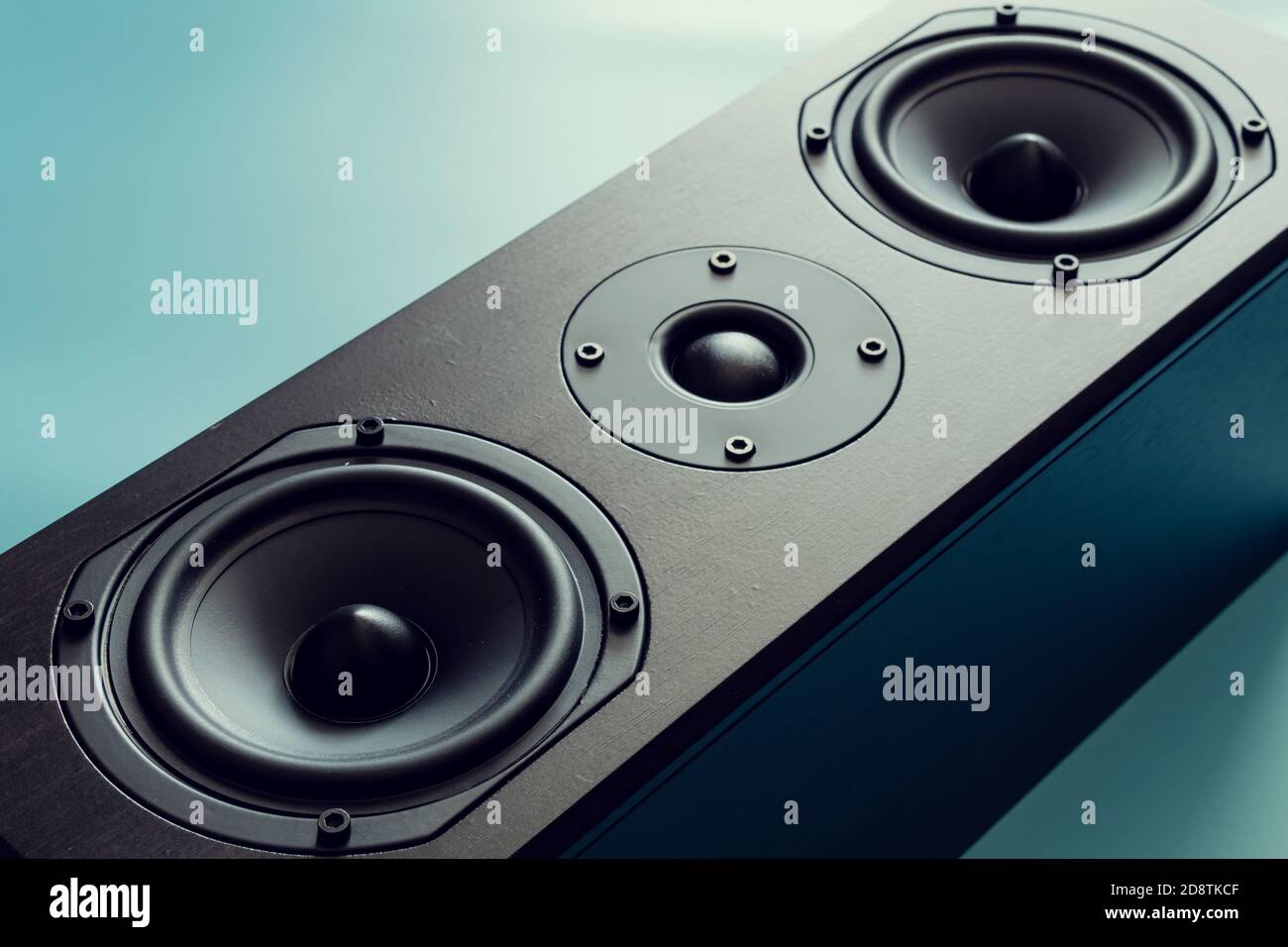 Closeup of black premium loudspeaker for music and home theater system ...