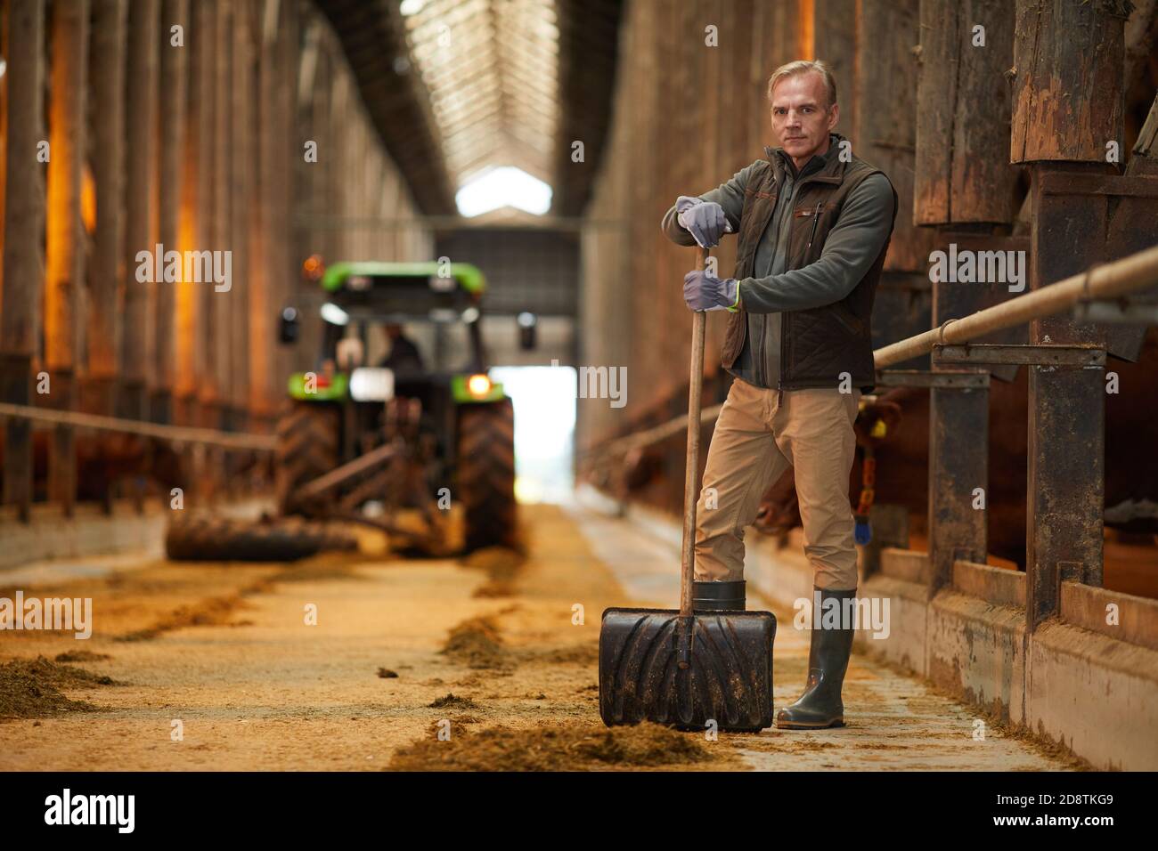 Farmer cleaning cow barn hi-res stock photography and images - Alamy
