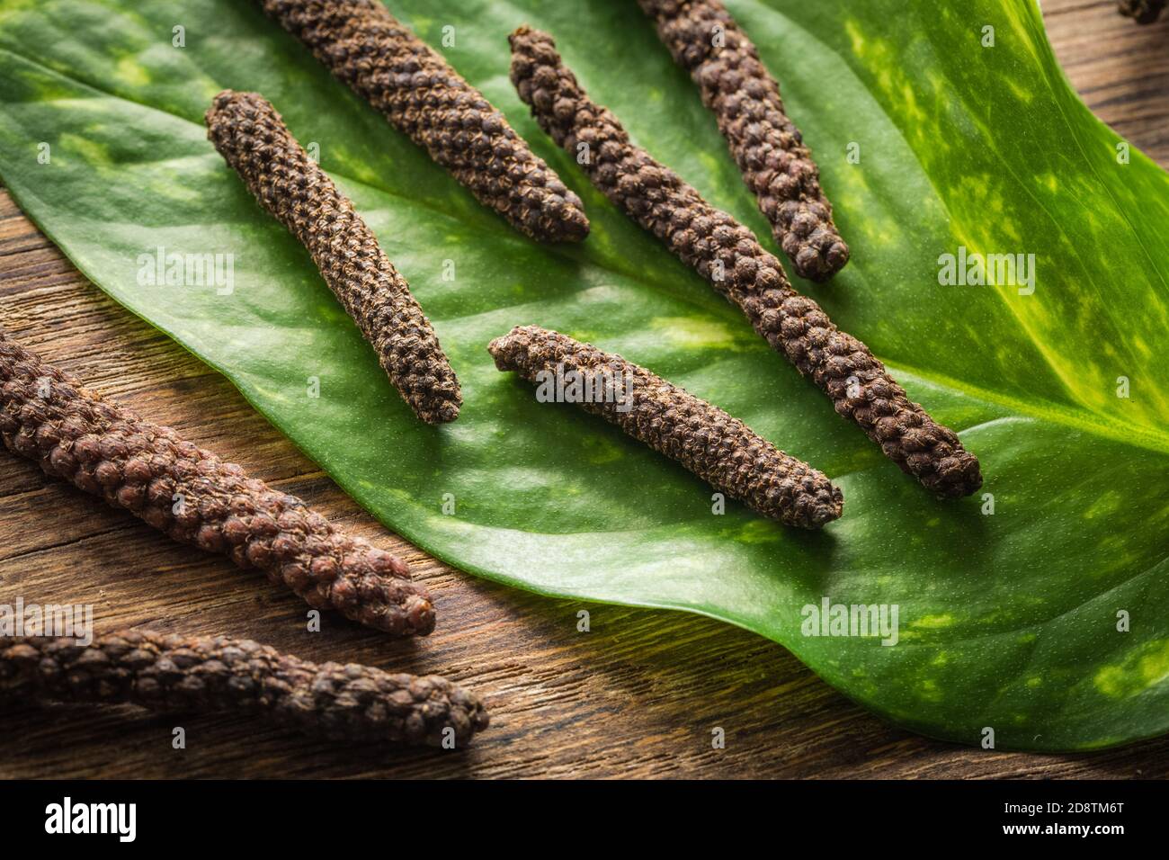 Black chili, A very rare Balinese spice Stock Photo - Alamy
