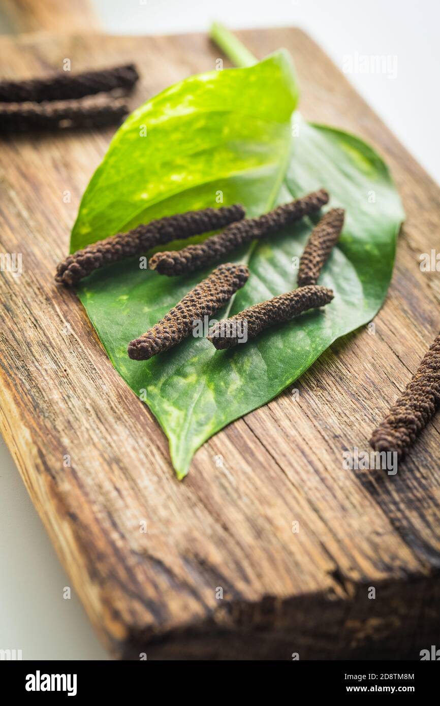 Black chili, A very rare Balinese spice Stock Photo - Alamy
