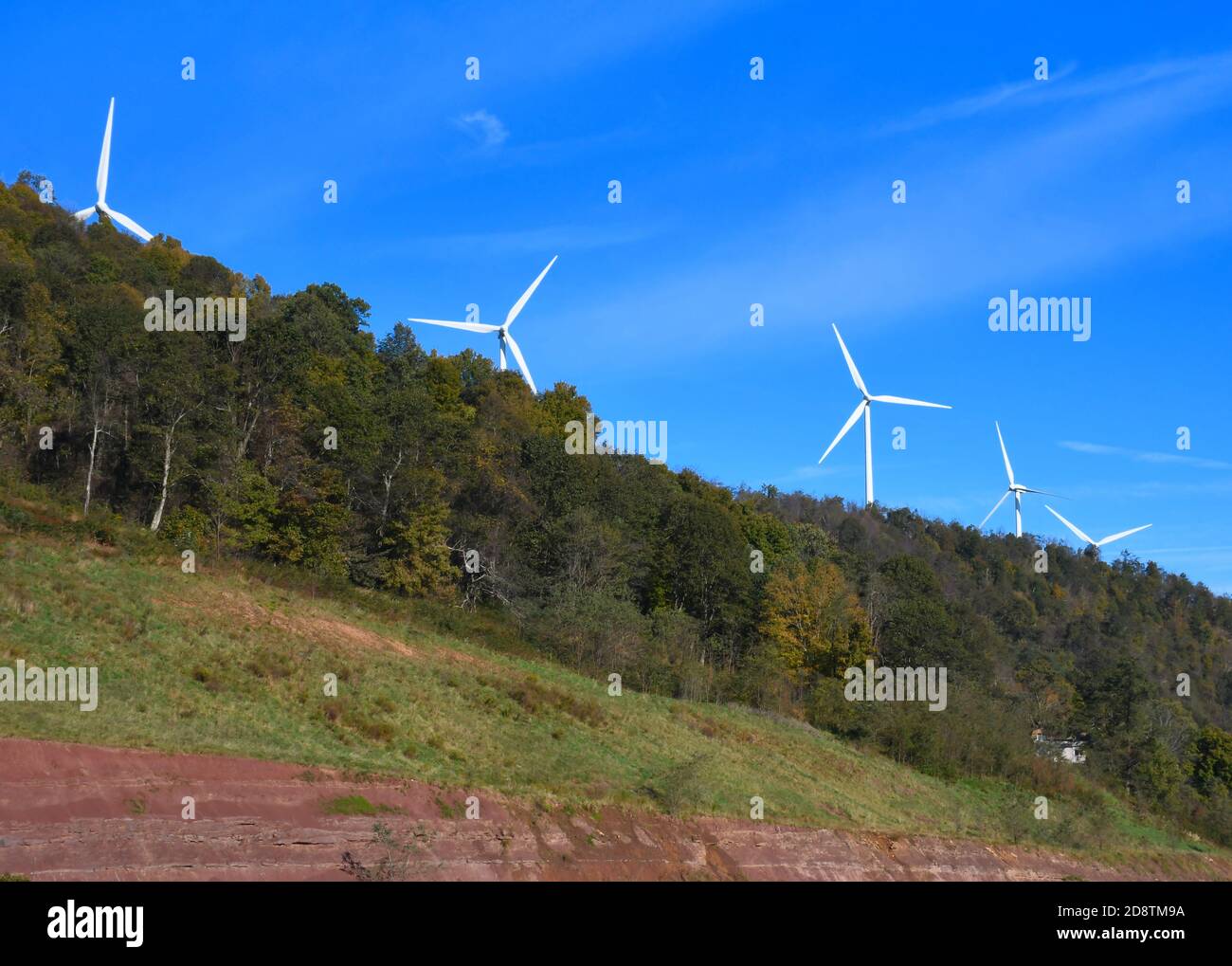 Environment sustainable alternative hi-res stock photography and images ...