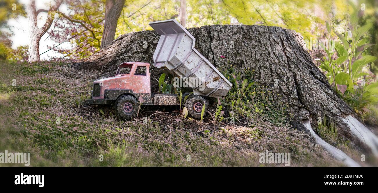 A dump truck (toy) next to a large cut tree trunk almost at the ground ...