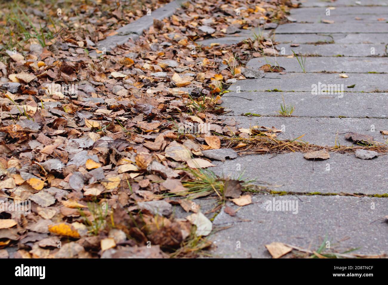 Sidewalk suburb street grass hi-res stock photography and images - Alamy
