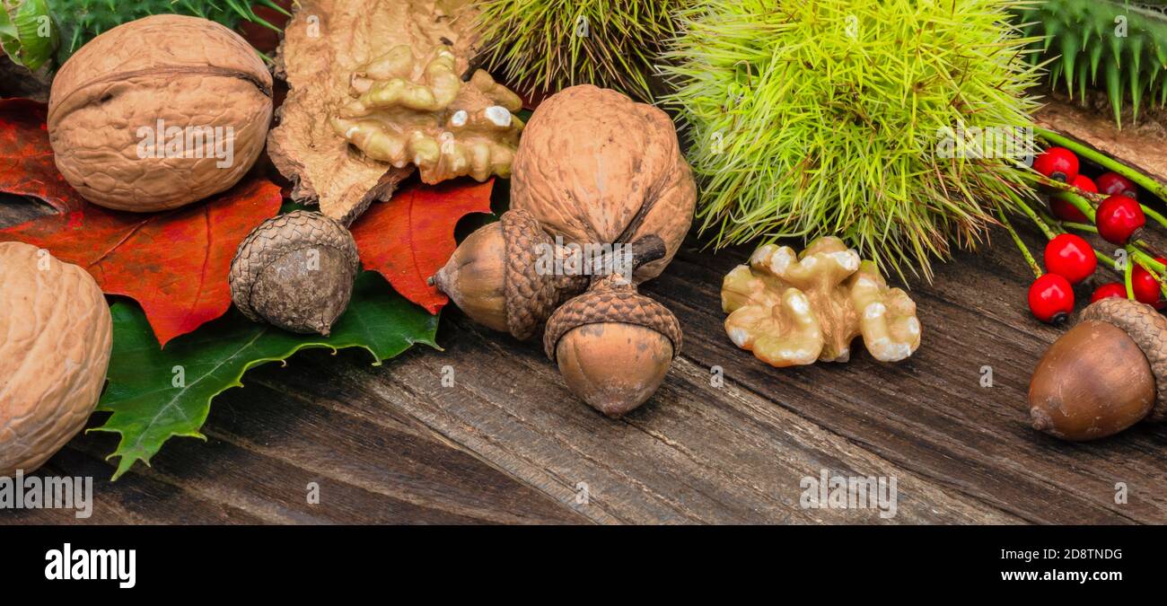 Harvest border hi-res stock photography and images - Alamy
