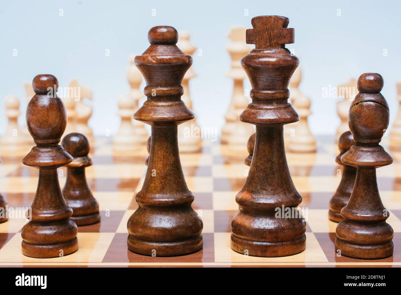 Intellectual game -chess. Wooden chess pieces on the chessboard Stock ...