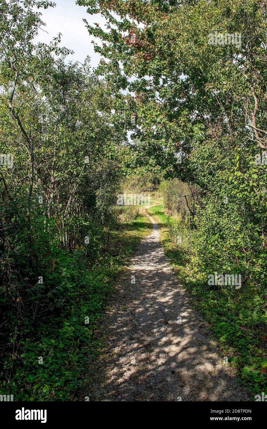 A winding trail leads from the forest through the field to residential ...