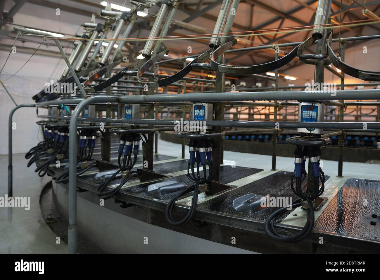 Close up background image of industrial cow milking machine at modern ...