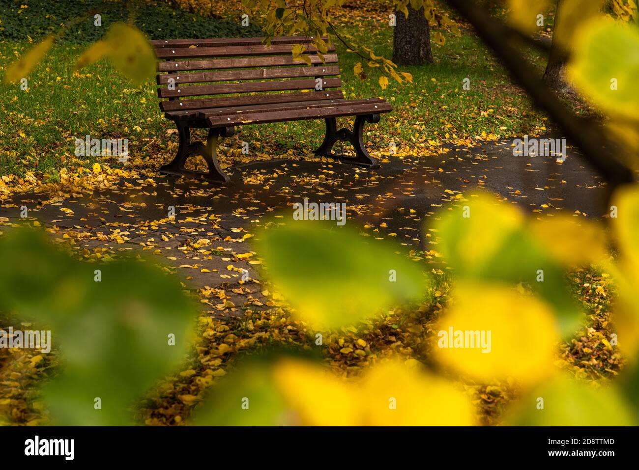 Benches to sit hi-res stock photography and images - Alamy