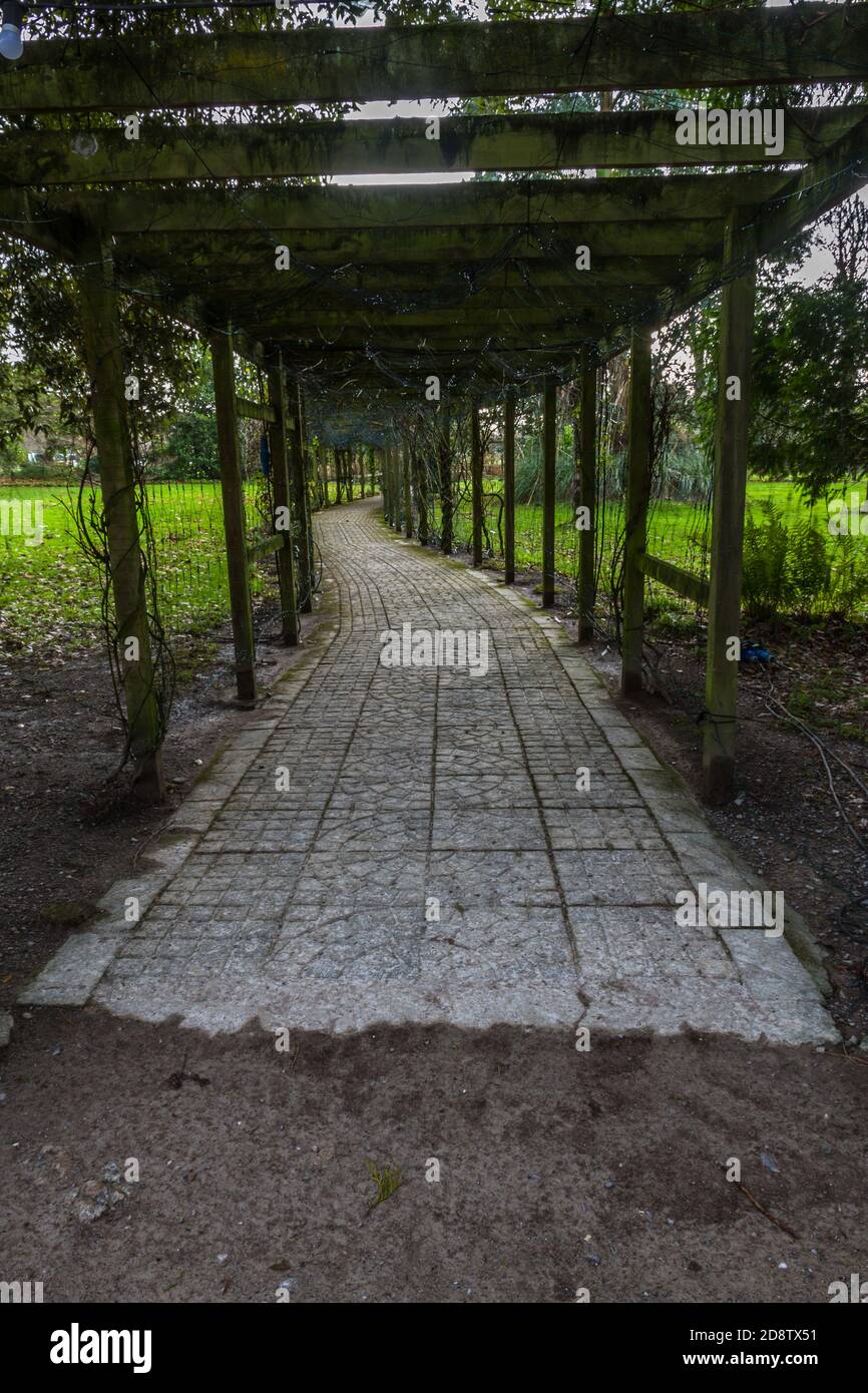 Covered park pathway in winter, paved path, portrait Stock Photo - Alamy
