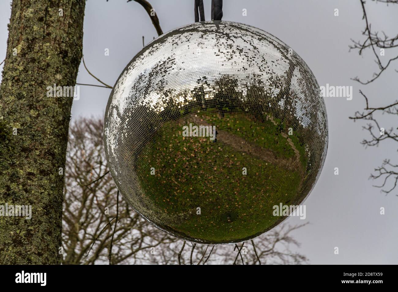 Large mirrorball hanging from a tree, landscape Stock Photo - Alamy